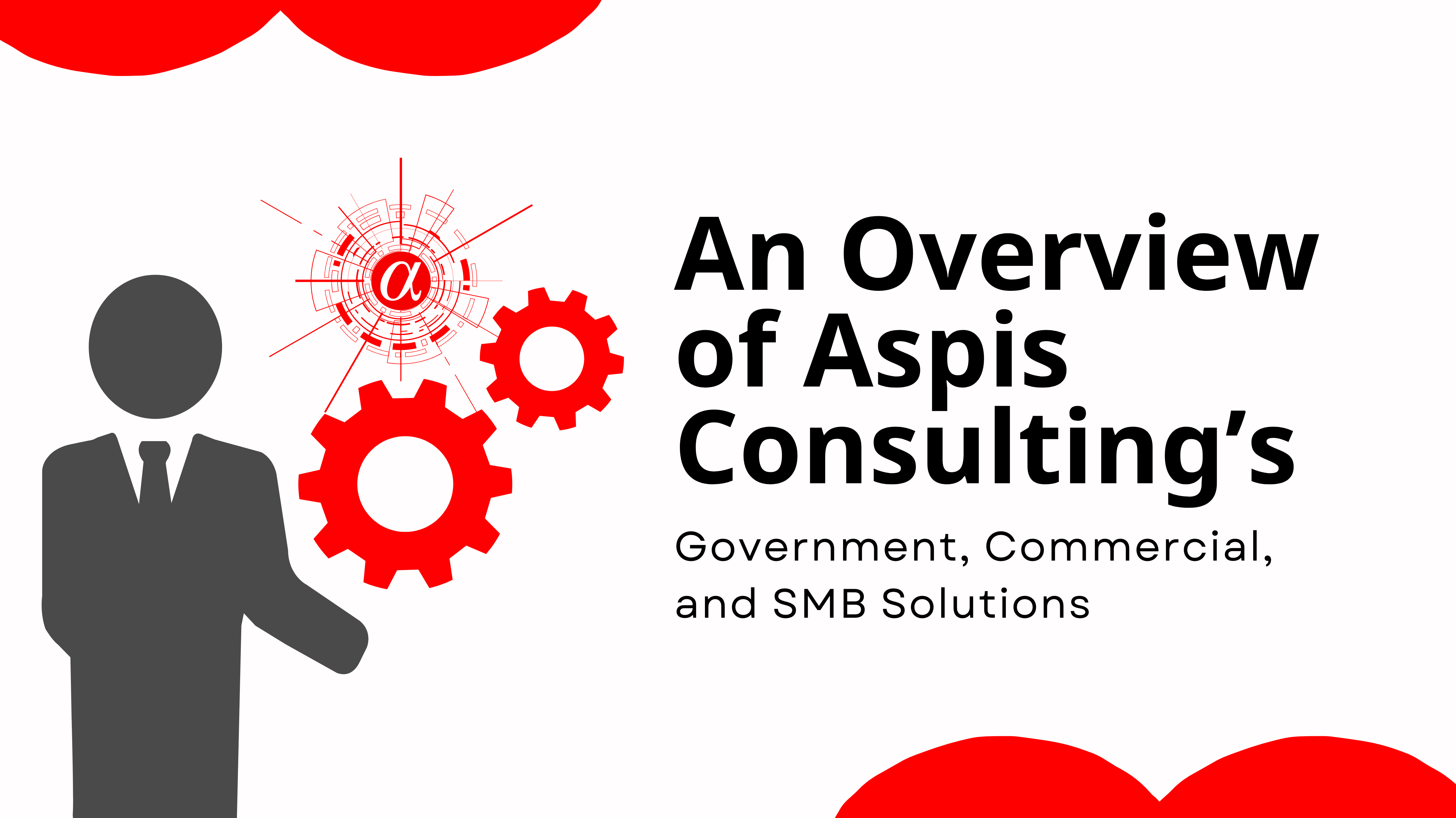 An Overview of Aspis Consulting's Government, Commercial, and SMB Solutions